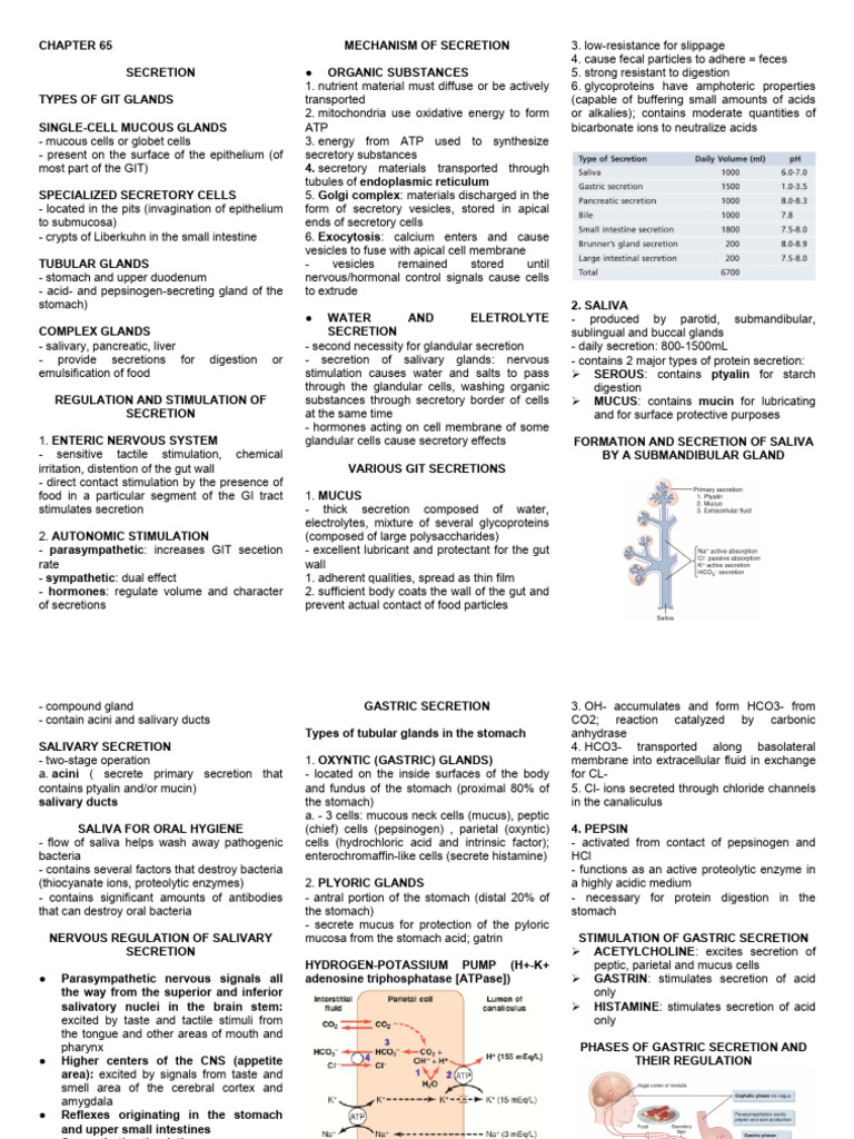 Chapter 65-66 | PDF | Digestion | Stomach