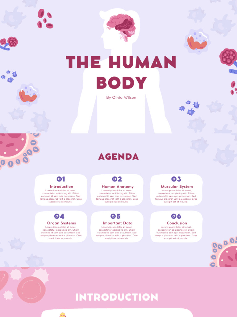 Purple Illustrative The Human Body Presentation | PDF