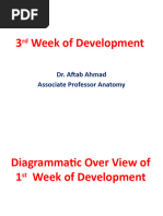 Third Week of Development: Trilaminar Germ Disc | PDF | Anatomy ...