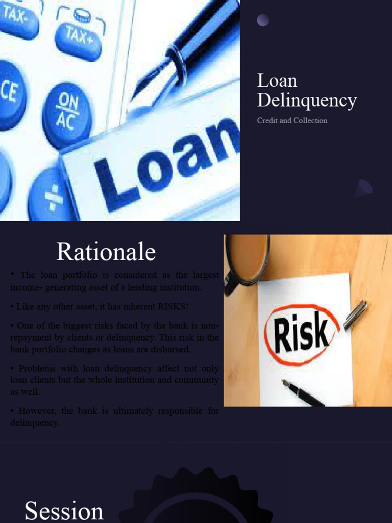 Loan Delinquency Report | PDF | Loans | Interest