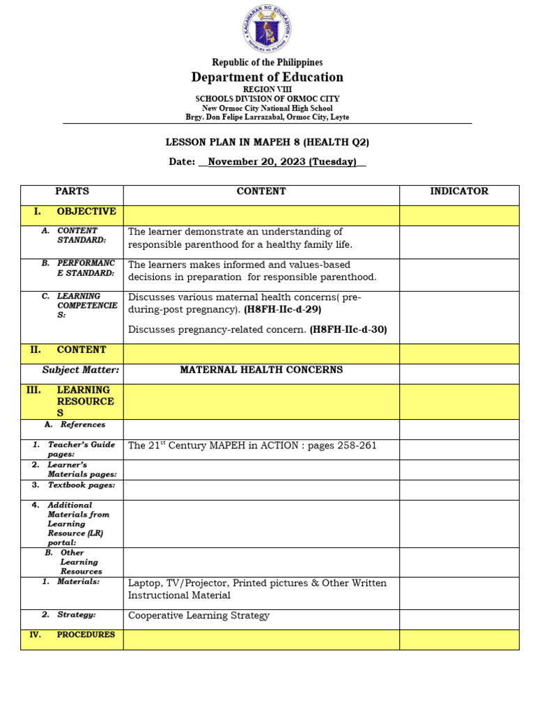 Lp-Maternal Health Concern | PDF | Pregnancy | Uterus