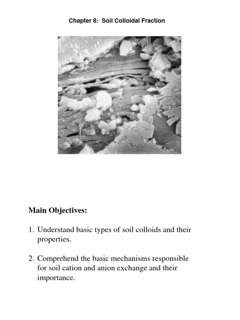 Lesson 6 Soil Colloidal Fraction | PDF | Ion | Soil