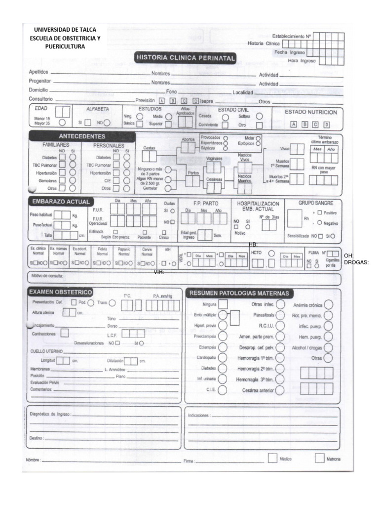FICHA Perinatal Editable | PDF
