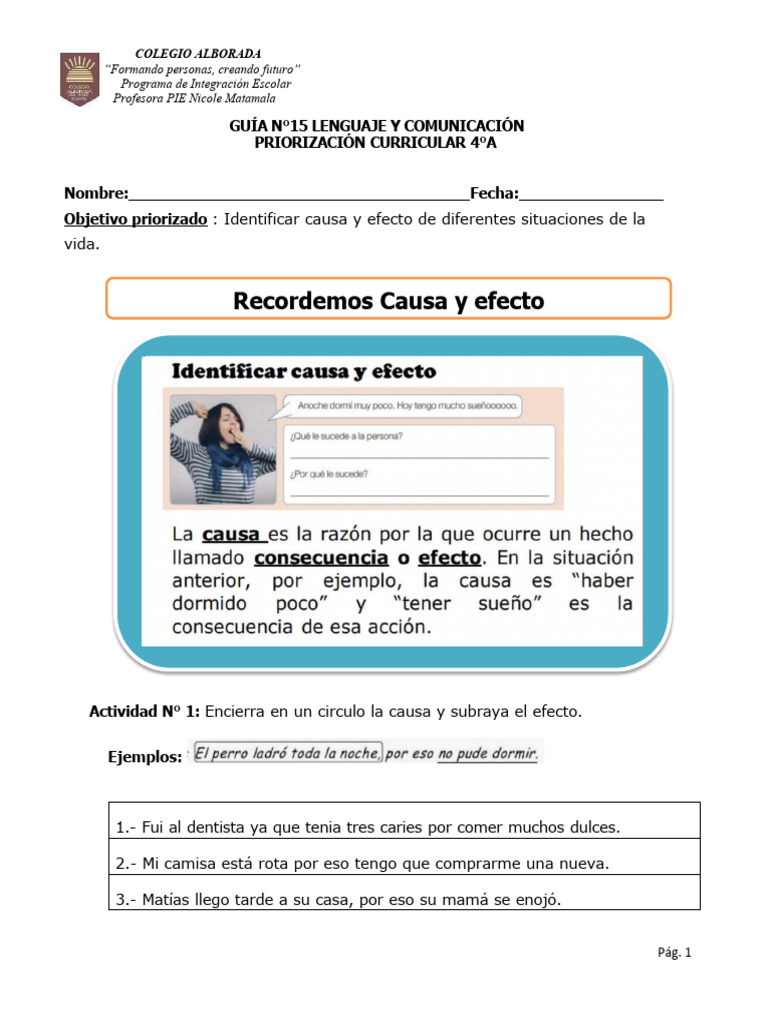 Guía Causa y Efecto | PDF