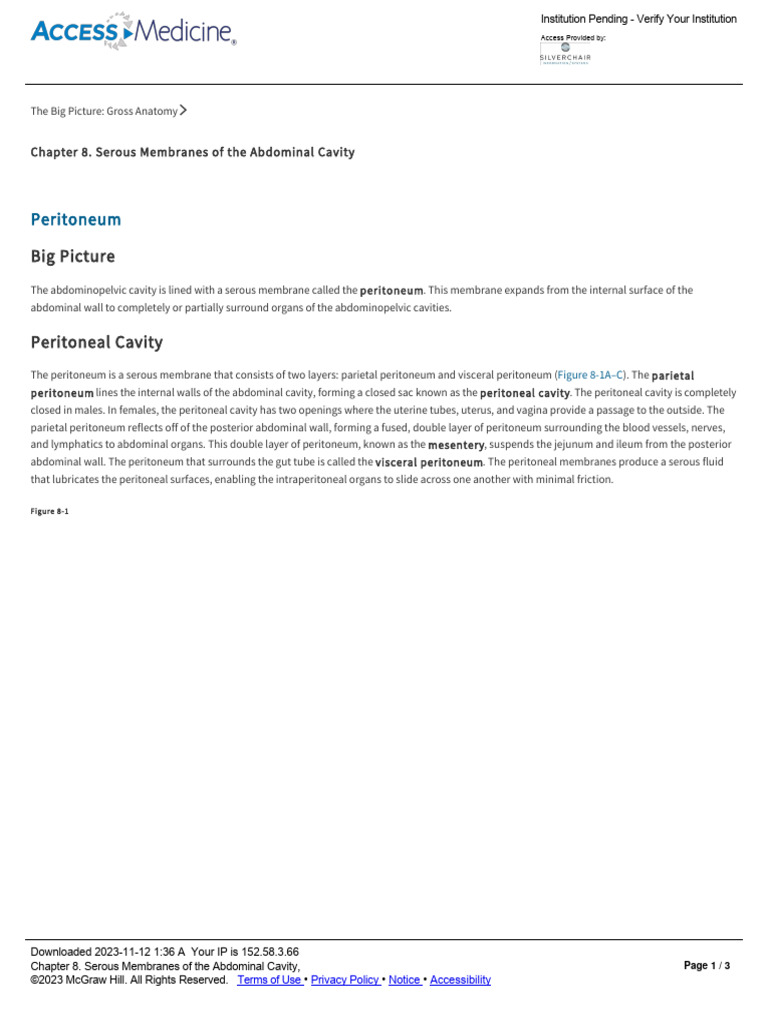 Anatomy of the Peritoneum Explained | PDF | Peritoneum | Anatomy