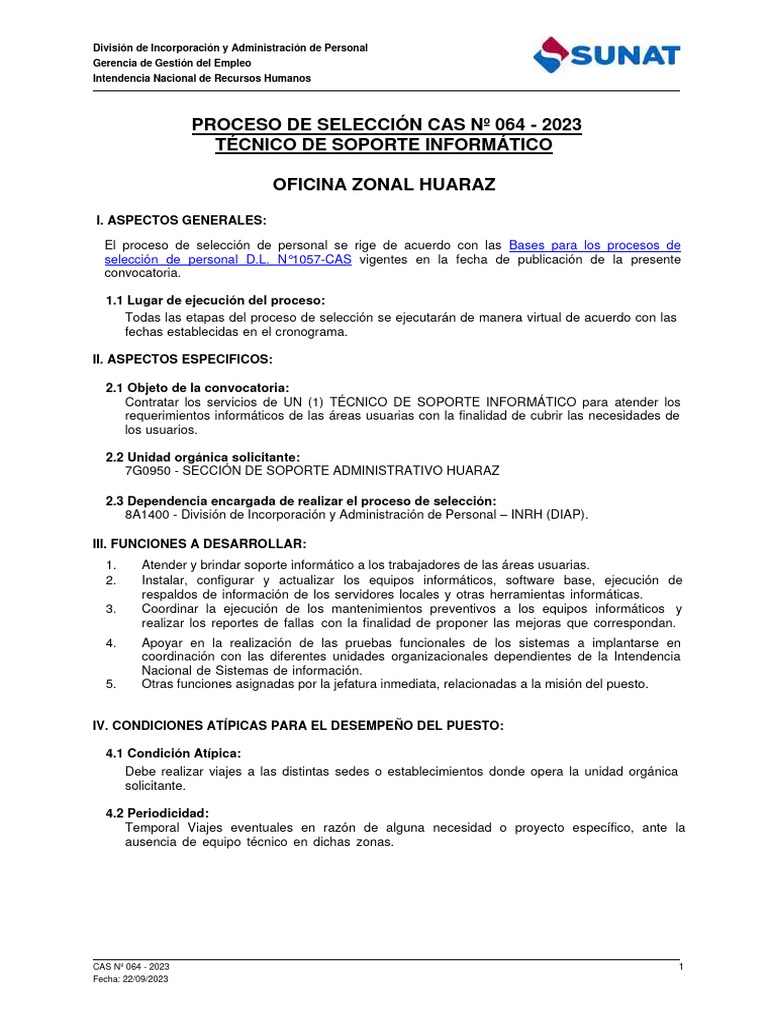 CAS Tecnico Sunat 064 - Sdsdsds | PDF | Gestión de recursos humanos | Microsoft