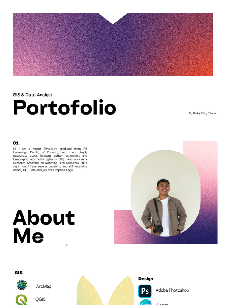 Portofolio GIS & Data Analyst | PDF | Geographic Information System | Forestry