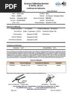 Reporte Dimensional | PDF | Tecnología