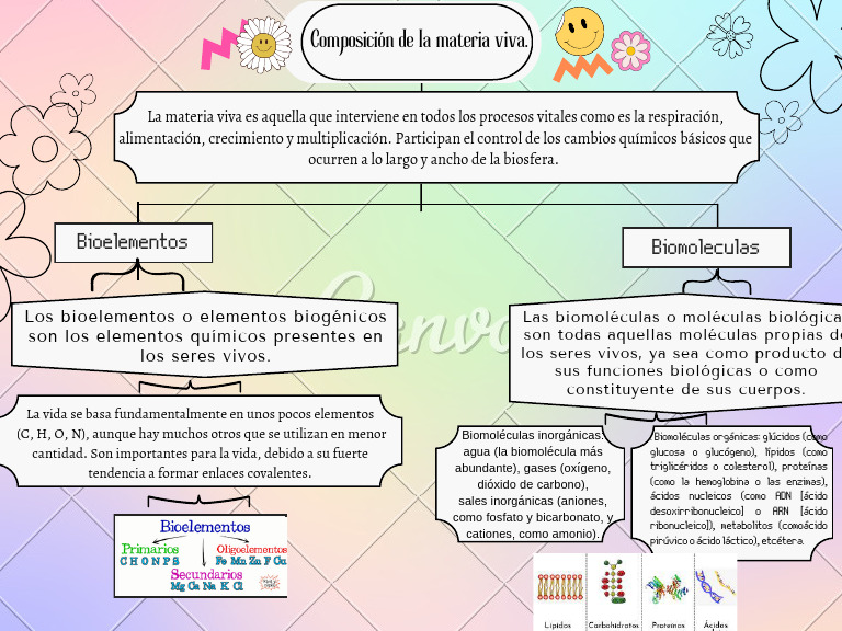 Mapa Conceptual Composición de La Materia Viva | PDF