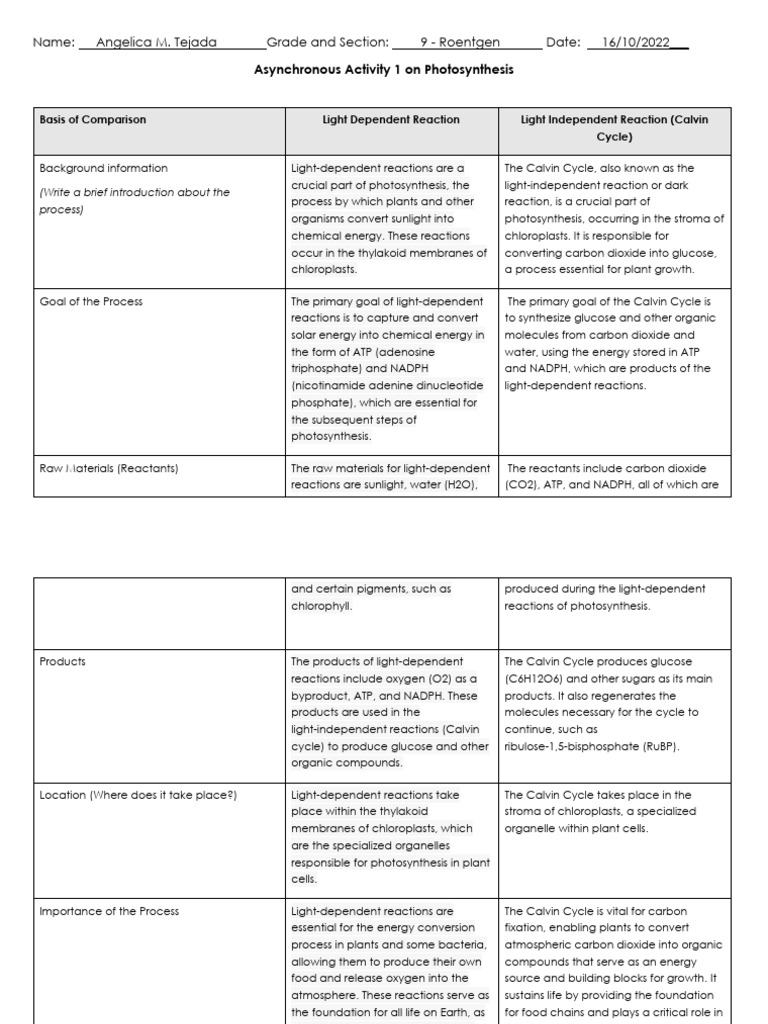 Asynchronous Activity-Photosynthesis | Download Free PDF | Photosynthesis | Chloroplast