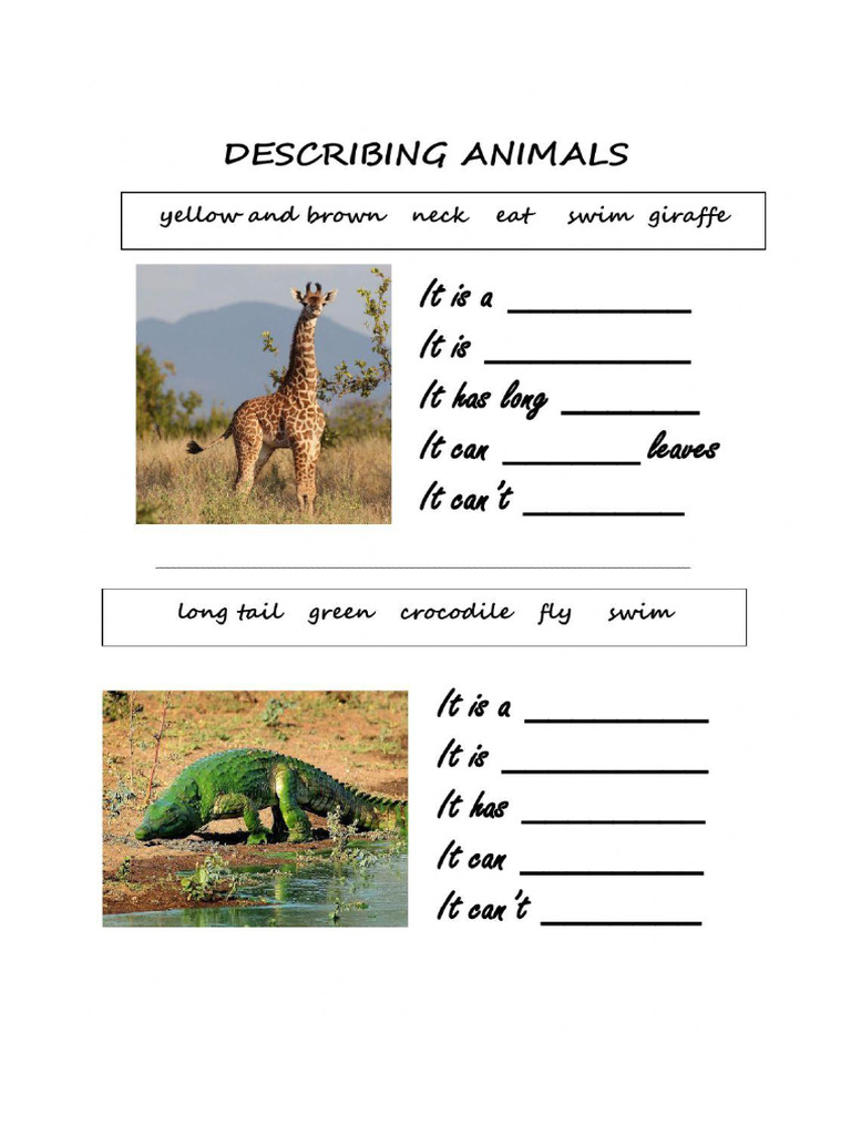 Describe Animals | PDF