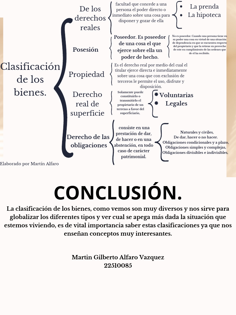 Clasificacion de Los Bienes | PDF | Propiedad | Justicia