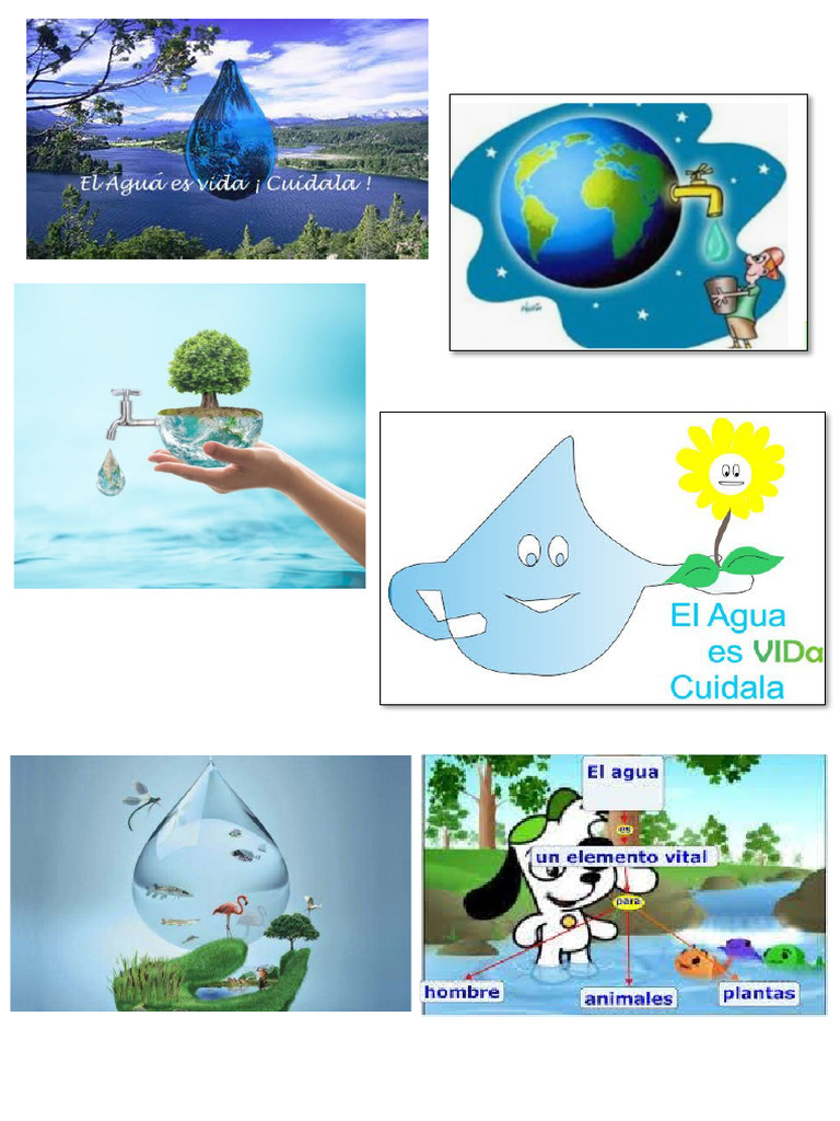 Importancia del agua | PDF