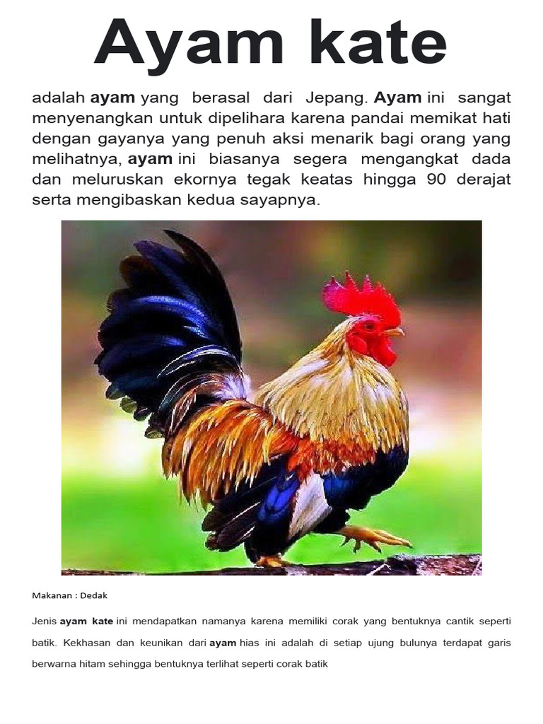 Macam Macam Jenis Hewan Dan Penjelasannya | PDF