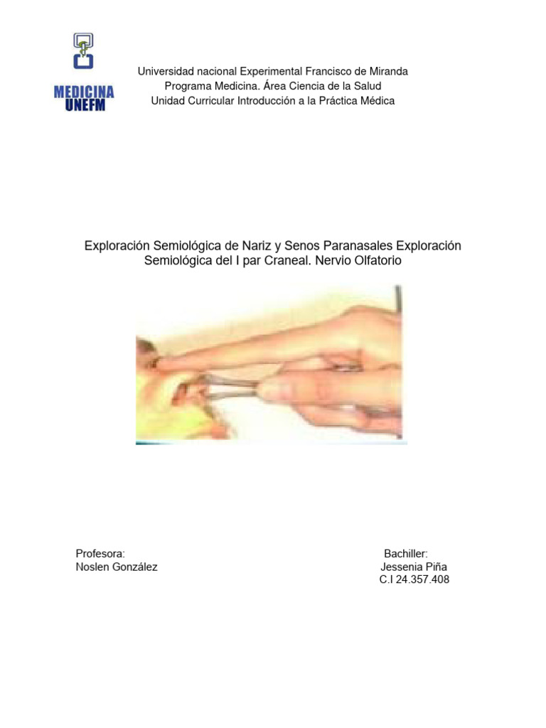 Nariz Pdf Nariz Humana Cara