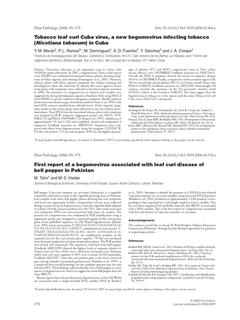 Bell Pepper | Download Free PDF | Polymerase Chain Reaction | Dna ...