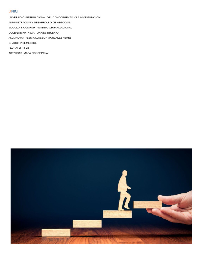 Mapa C. Liderazgo y La Funcion | PDF | Liderazgo | Ciencia cognitiva