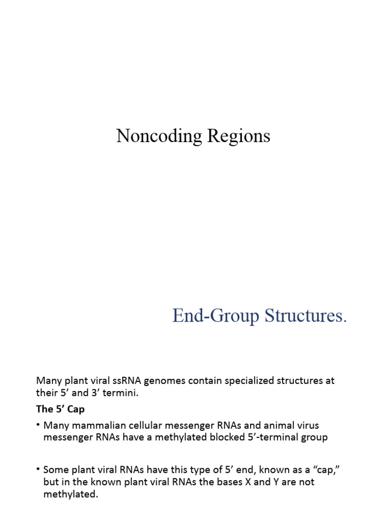 Noncoding Regions - Recombination | PDF | Rna | Virus