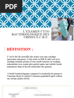 TP Bactériologie Galerie API | PDF | Microbiologie | Bactérie