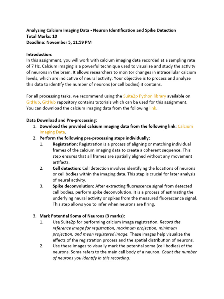 Calcium imaging assignment 2 | PDF | Neuron | Action Potential