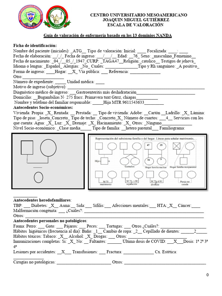 Guía de Valoración de Enfermería Basado en Los 13 Dominios NANDA | PDF ...