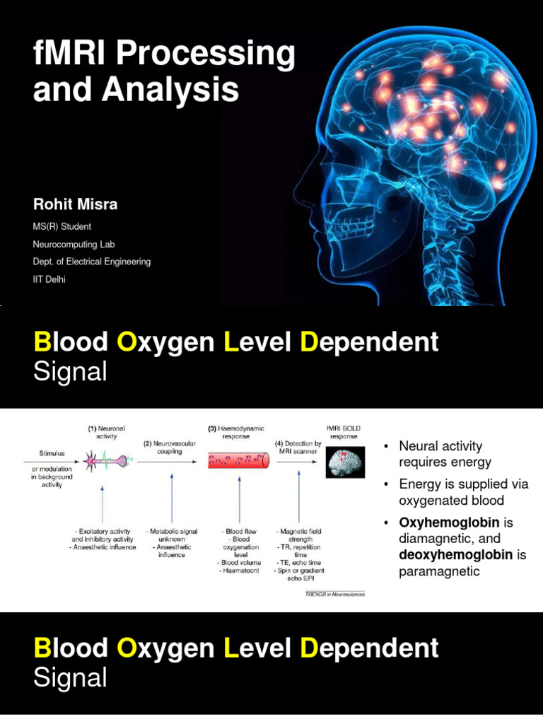 fMRI Analysis for Researchers | PDF