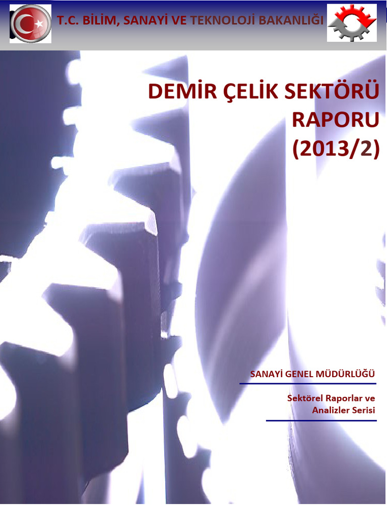 Demir Celik Sektor Raporu Bilim - Sanayi - Tek - Bknlgi 555 | PDF