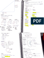 Cell Modification: Mr. Kevin Francis E. Magaoay | PDF | Epithelium ...
