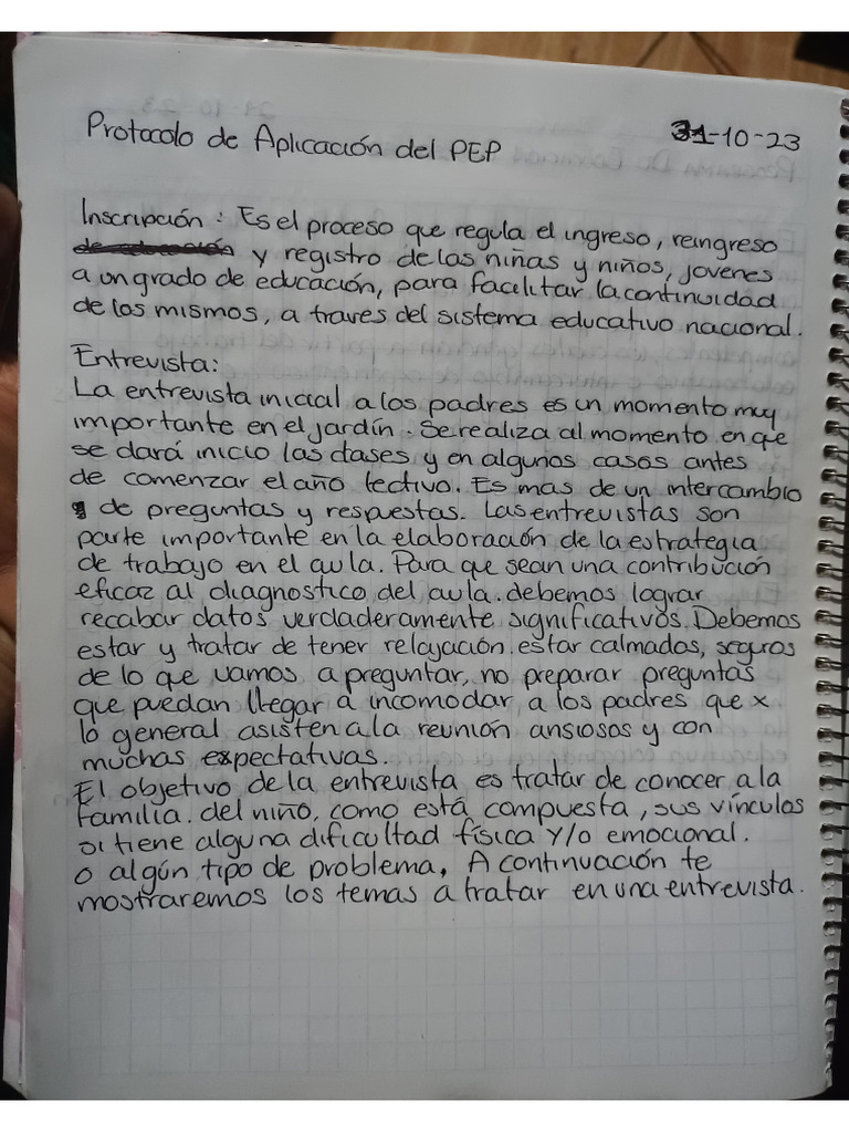Protocolo de Aplicación Del PEP (APUNTE) | PDF