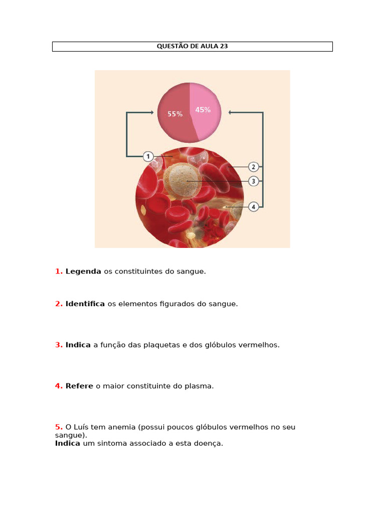 Funções e Constituintes do Sangue | PDF
