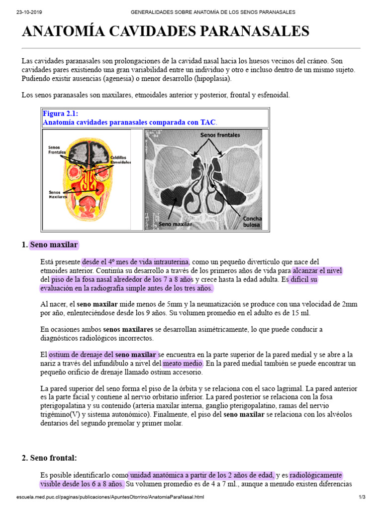 Anatomía de Los Senos Paranasales | PDF | Sistema esquelético | Morfología (biología)