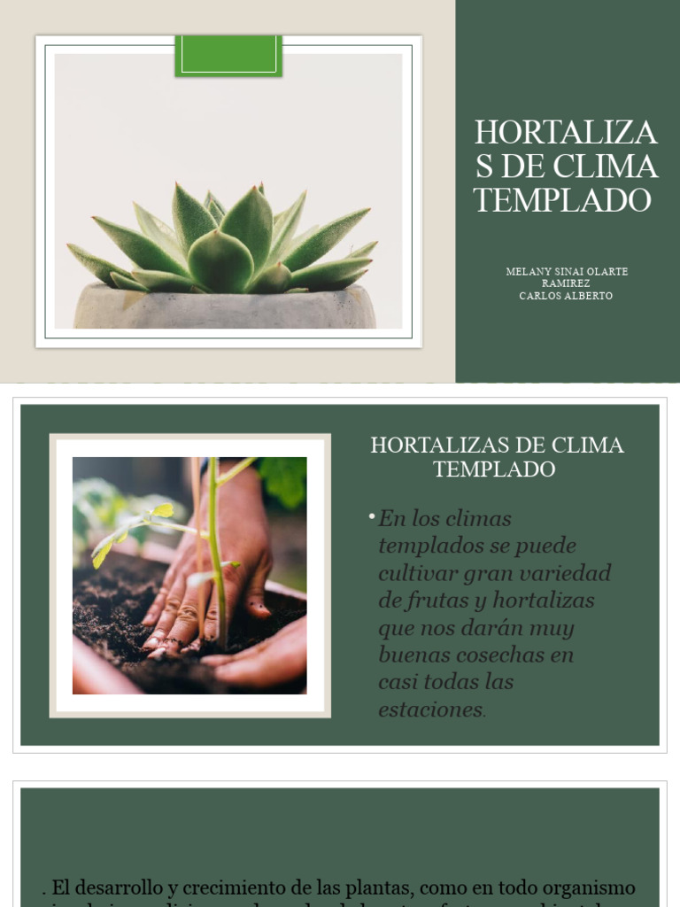 Hortalizas de Clima Templado | PDF
