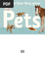 Year 4 Module 8 Amazing Animals Worksheets | PDF | Tiger | Tyrannosaurus