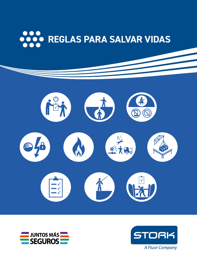 Reglas para Salvar Vidas | PDF
