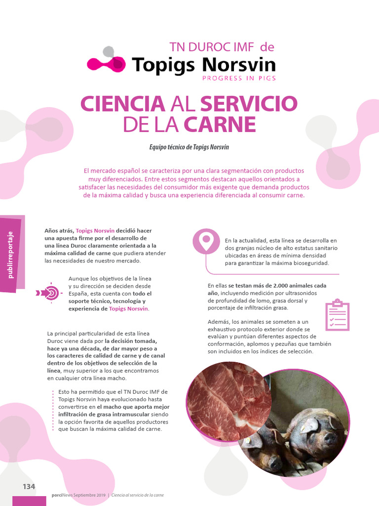 Topigs TN DUROC | PDF | Carne