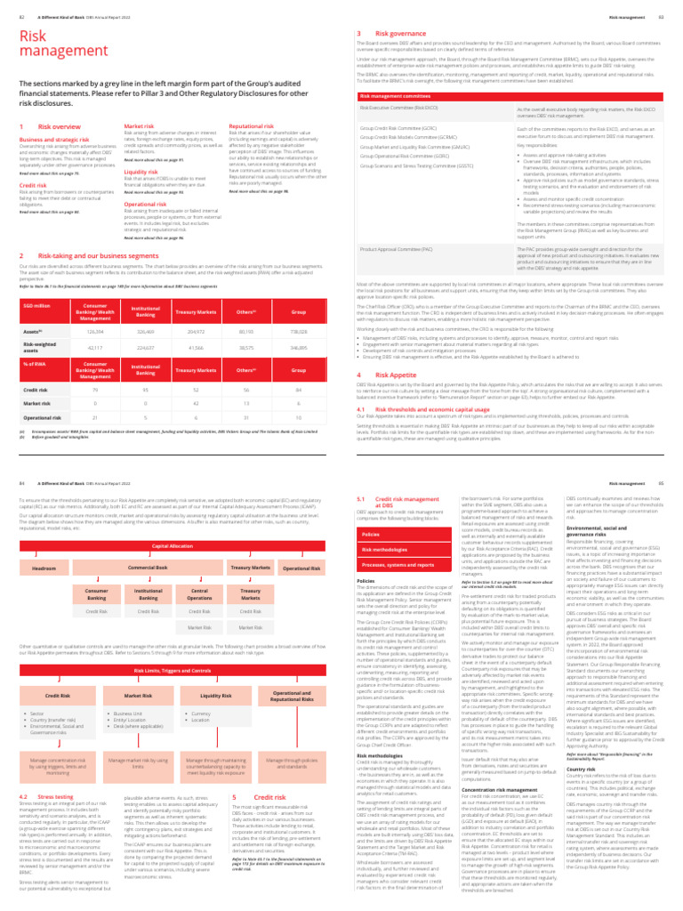 Dbs Annual Report 2022 Risk Management | PDF | Finance & Money Management