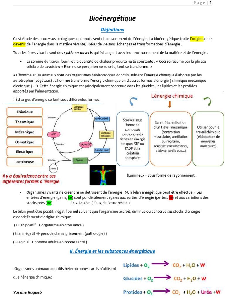 Bioénergétique | PDF | Chaleur | Calorie