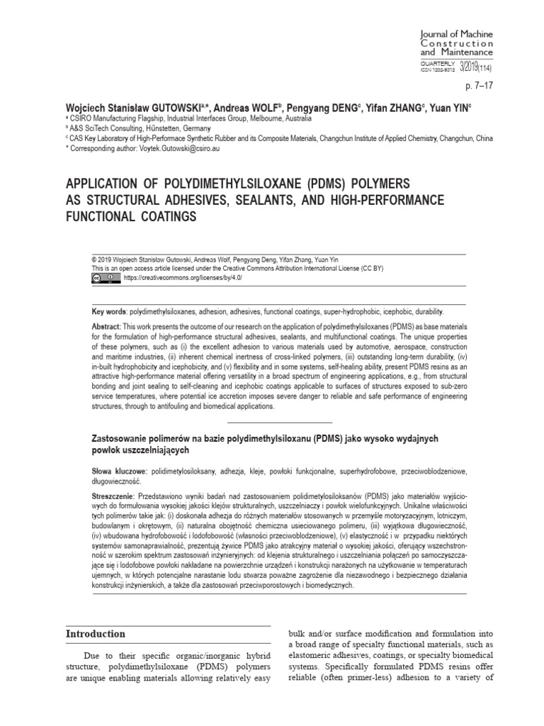 Gutowski Wolf Application 3 2019 | PDF | Polymers | Silicone