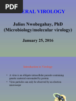 Introduction to Bacteriology Concepts | PDF | Bacteria | Cell (Biology)