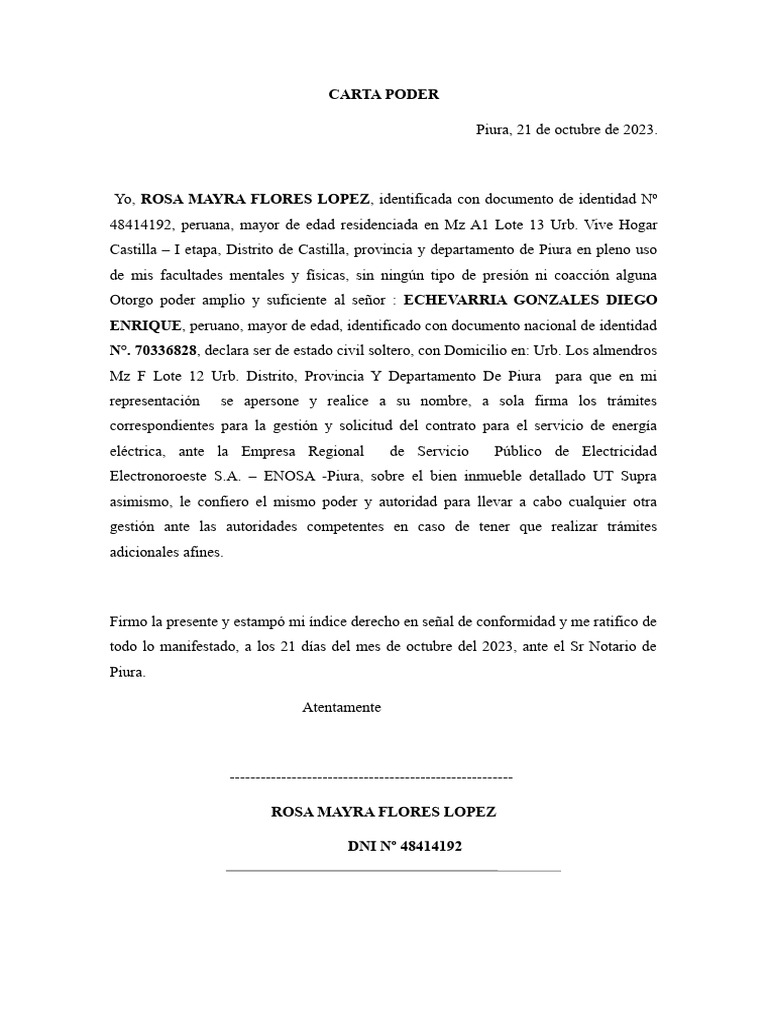 Carta Poder Para Trámite de Luz | PDF