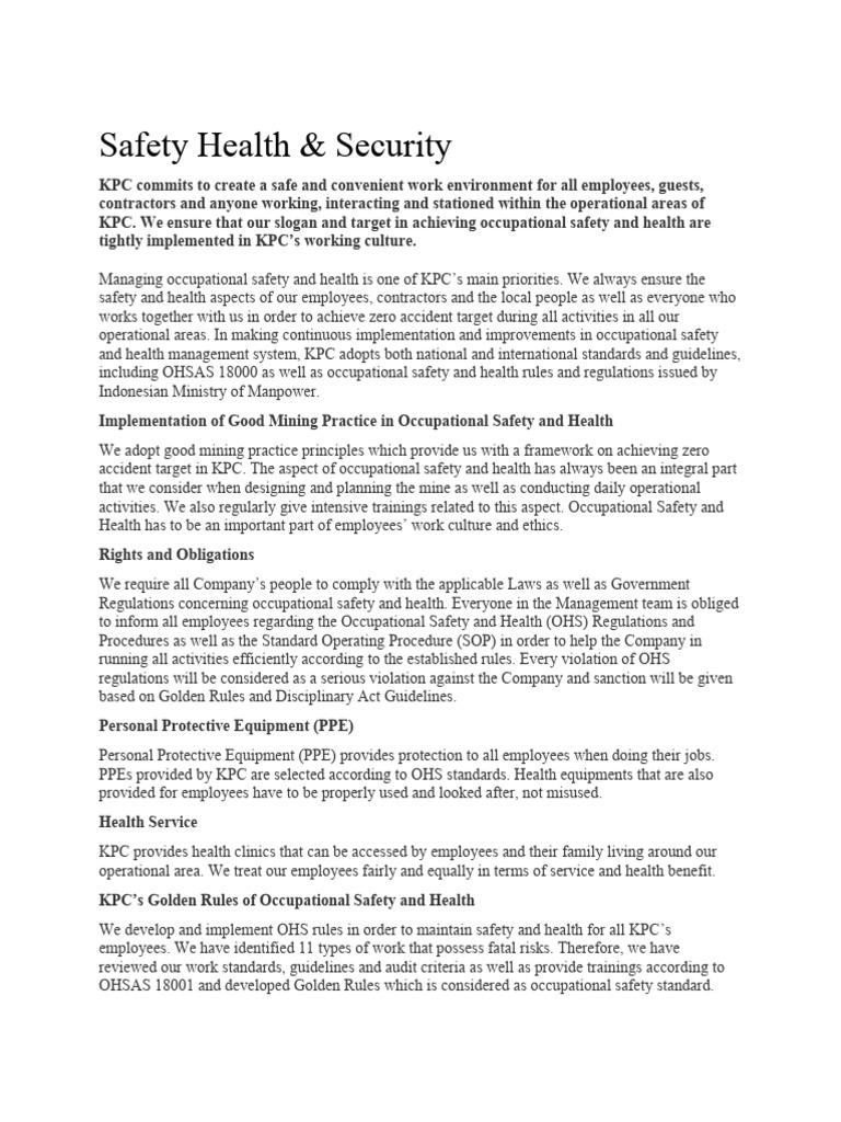 Safety Health | PDF | Occupational Safety And Health | Audit