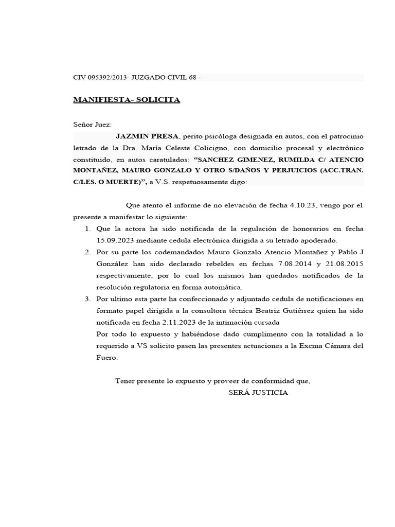 Manifiesta Solicita Elevacion | PDF