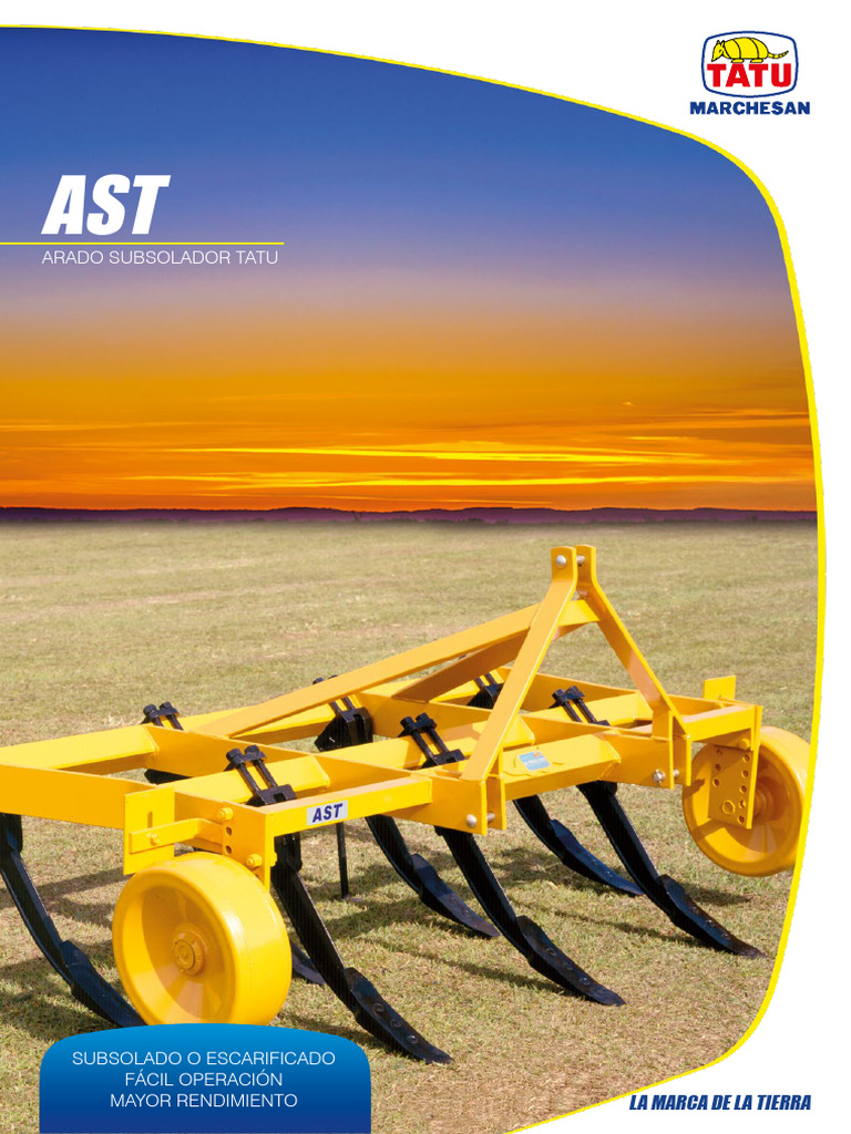 AST Es | PDF