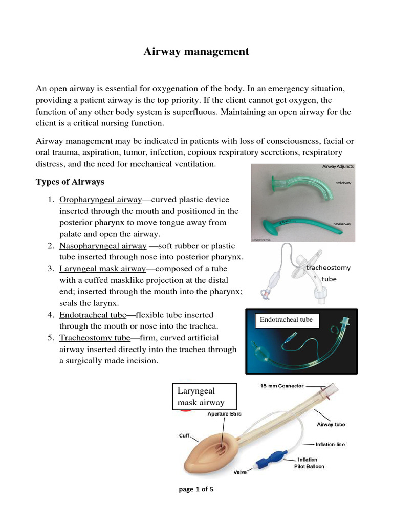 Airway Management 2023-2024 | PDF | Medical Treatments | Respiratory ...