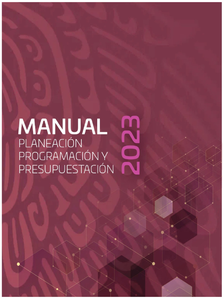 Manual PPP 2023 | Descargar gratis PDF | Presupuesto | Planificación