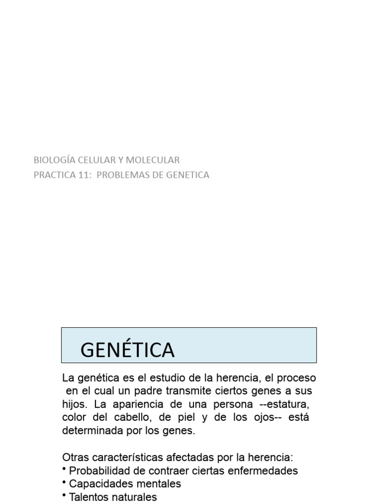 Problemas de Genética Mendeliana | PDF | Dominancia (Genética) | Alelo