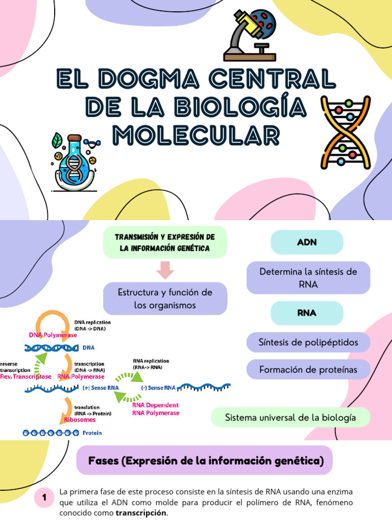 El Dogma Central de La Biología | PDF | Rna | Adn