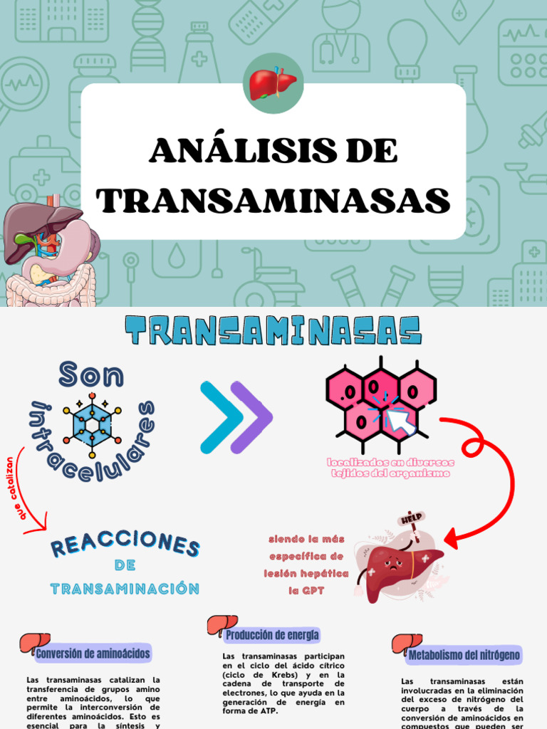 Análisis de Transaminasas | PDF | Transaminasa | Alanina transaminasa