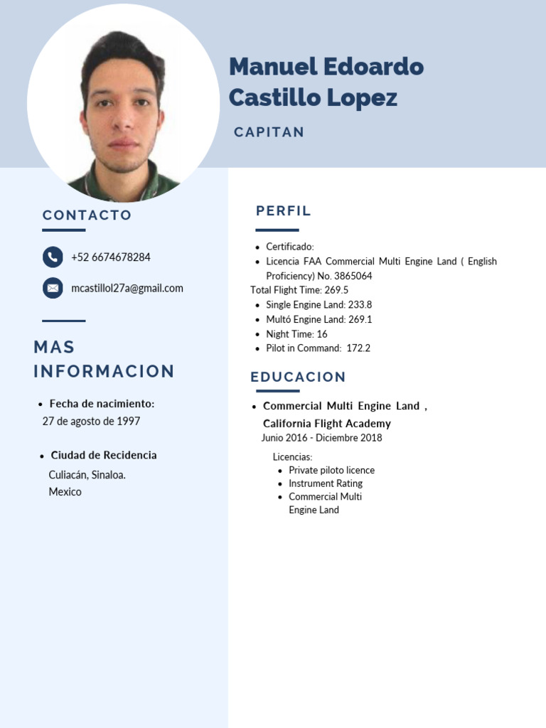 Curriculum Manuel Castillo | PDF