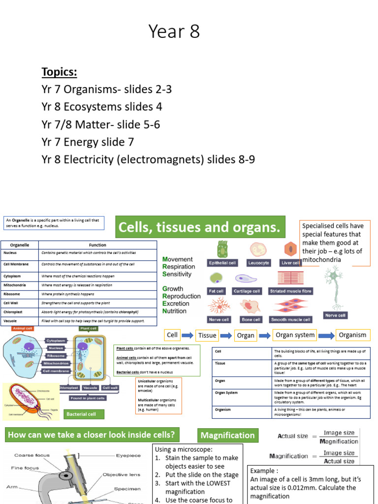 Yr 8 Knowledge Organisers SCIENCE | PDF | Cell (Biology) | Chemical ...